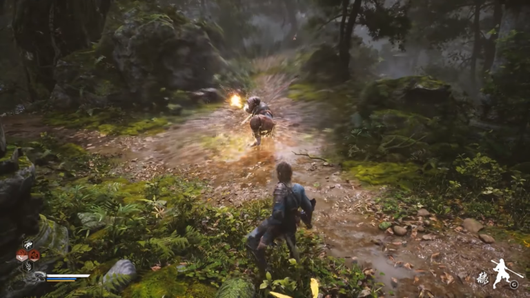 Black Myth: Wukong – Ruby-Wings